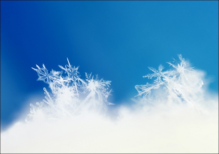 The true story behind the snowflake uniqueness