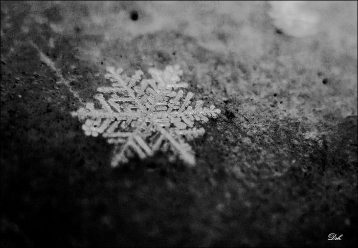 The true story behind the snowflake uniqueness