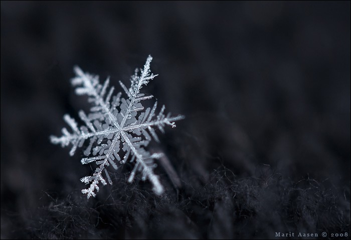 The true story behind the snowflake uniqueness