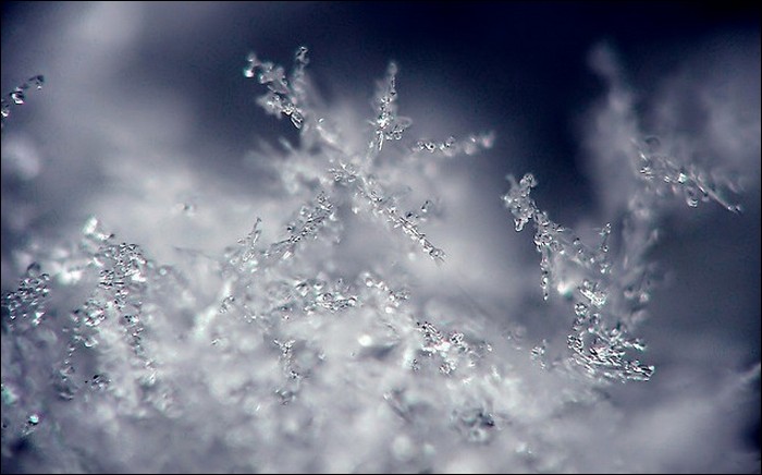 The true story behind the snowflake uniqueness