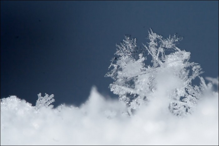 The true story behind the snowflake uniqueness