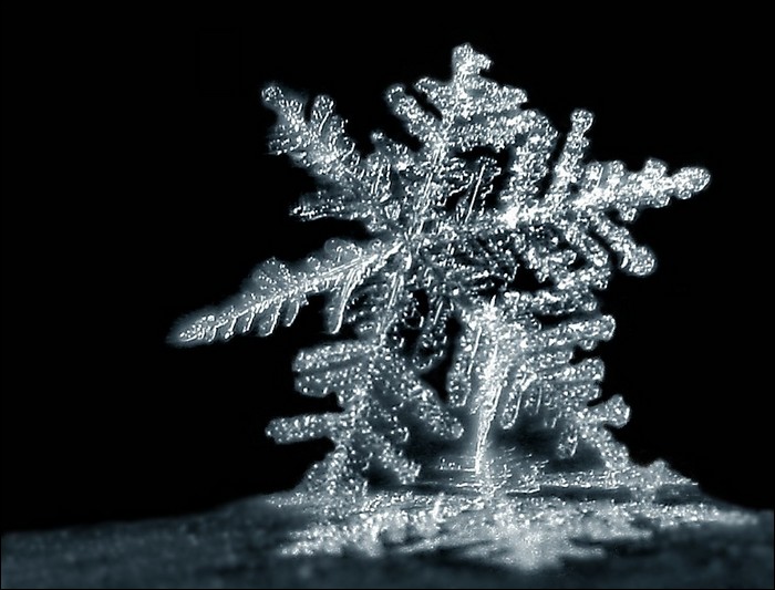 The true story behind the snowflake uniqueness