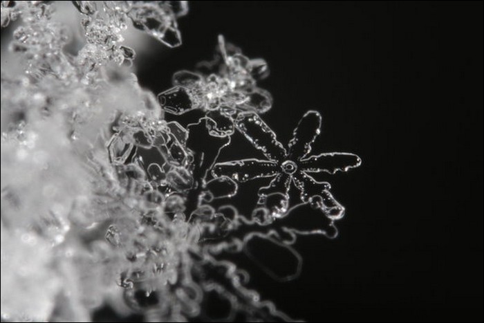 The true story behind the snowflake uniqueness