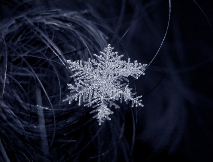 The true story behind the snowflake uniqueness