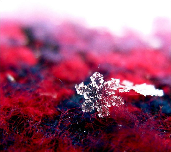 The true story behind the snowflake uniqueness